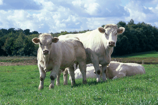 Panneau de ferme : identifiez votre exploitation ! - PUB UP Panneau de ferme : identifiez votre exploitation ! - PUB UP
