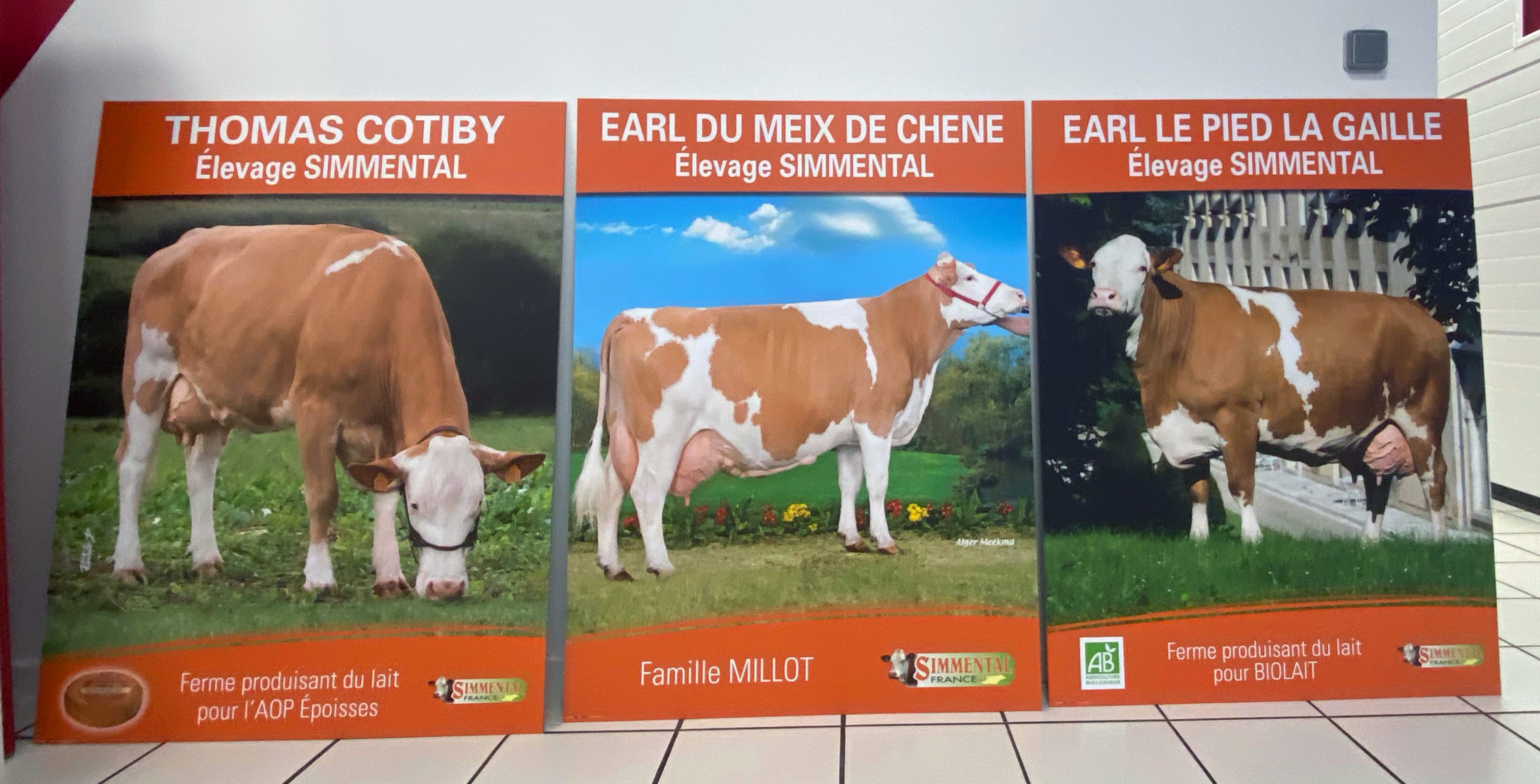 Panneaux de ferme pour SIMMENTAL FRANCE - PUB UP