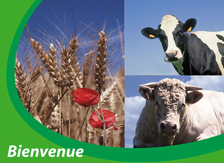 Panneau de ferme : identifiez votre exploitation ! - PUB UP Panneau de ferme : identifiez votre exploitation ! - PUB UP